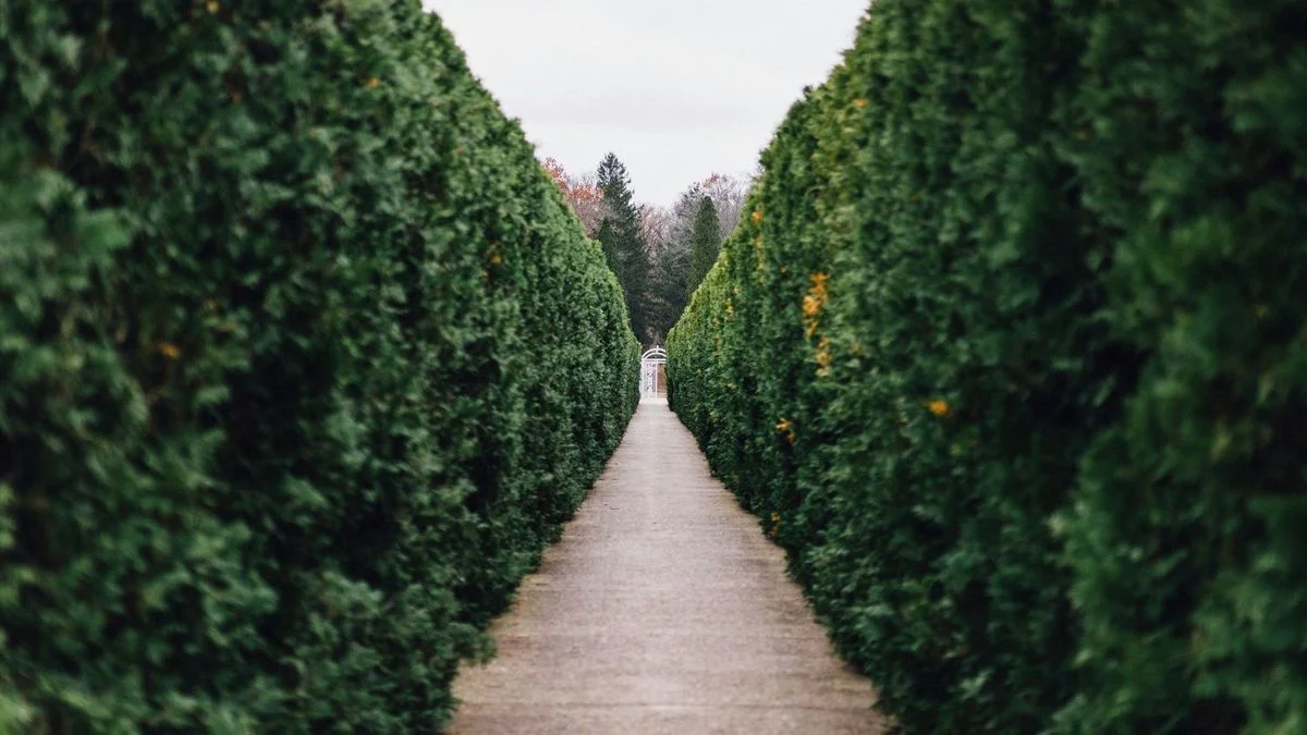 What Are Hedge Funds and What Do Hedge Fund Professionals Do?