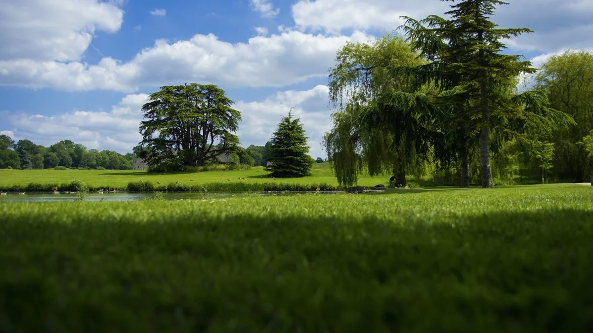 Citi banking MDs moving to the fertile plains of Deutsche Bank may be ...